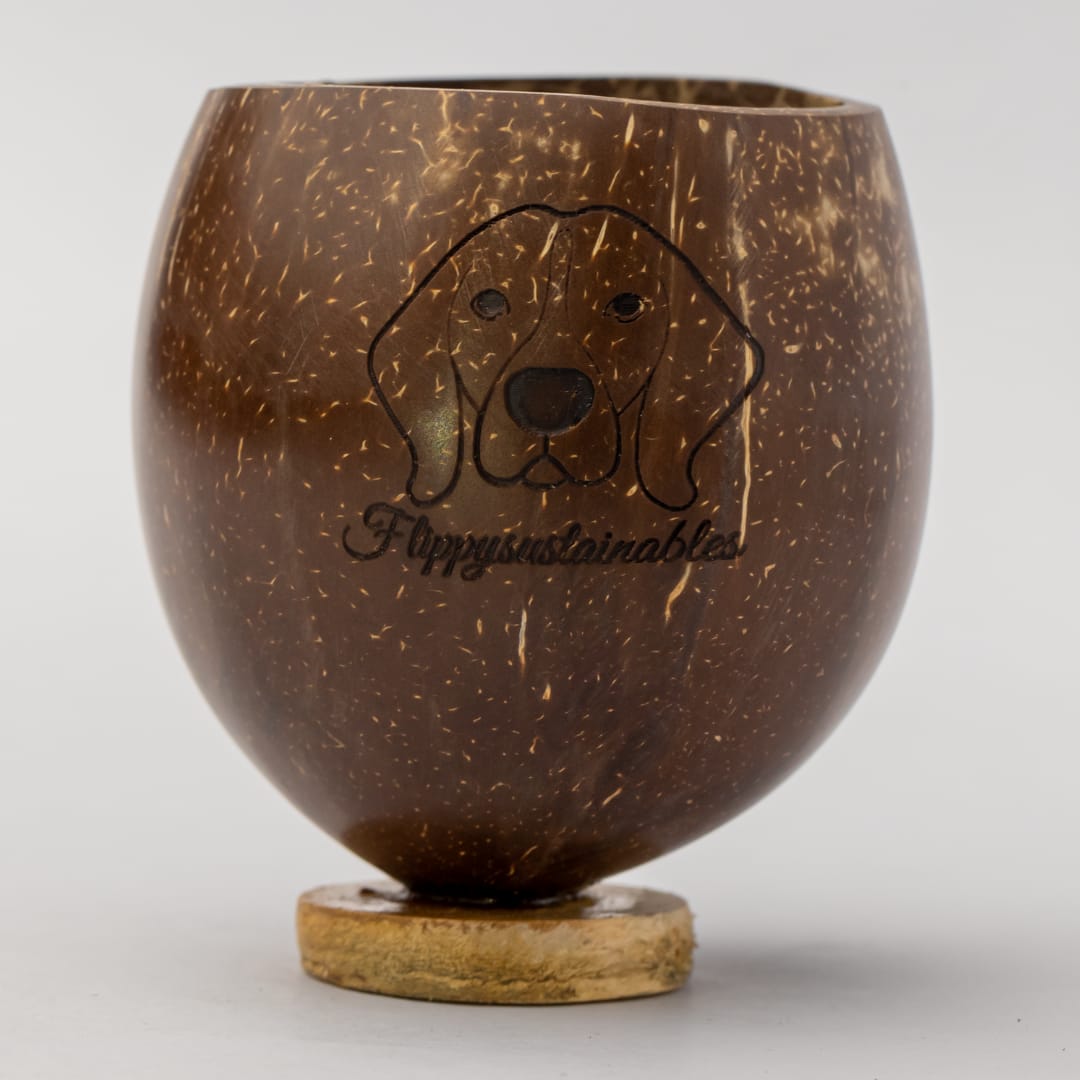 Coconut Shell Shot Glass – ECOLO STORE
